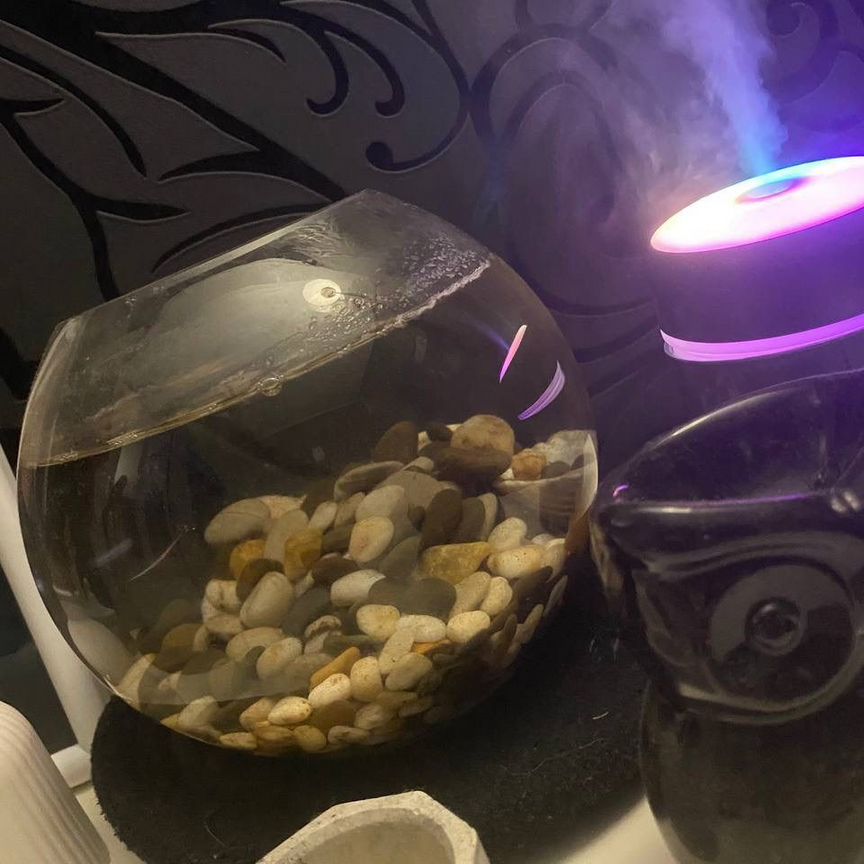 Аквариум с рыбкой