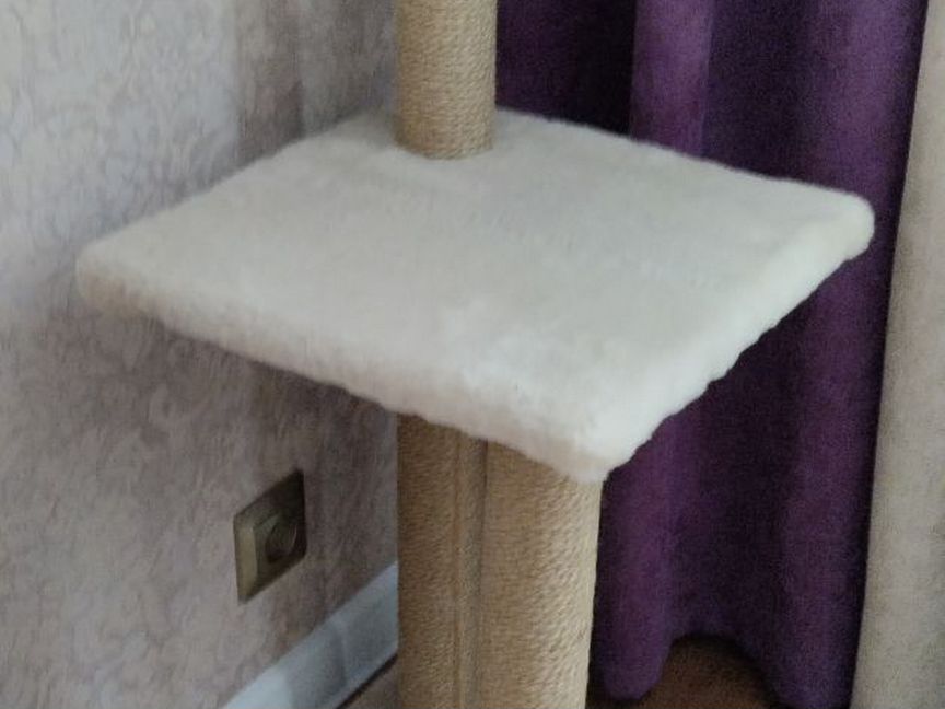 Когтеточка