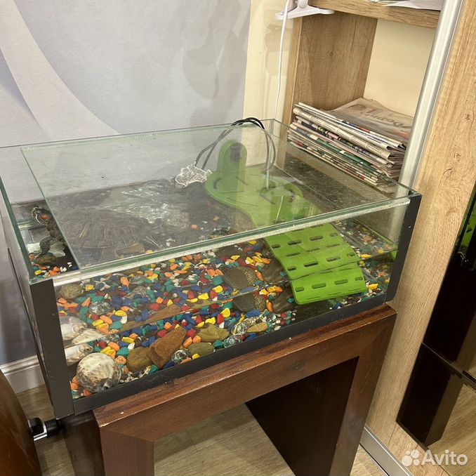 Аквариум с черепахой