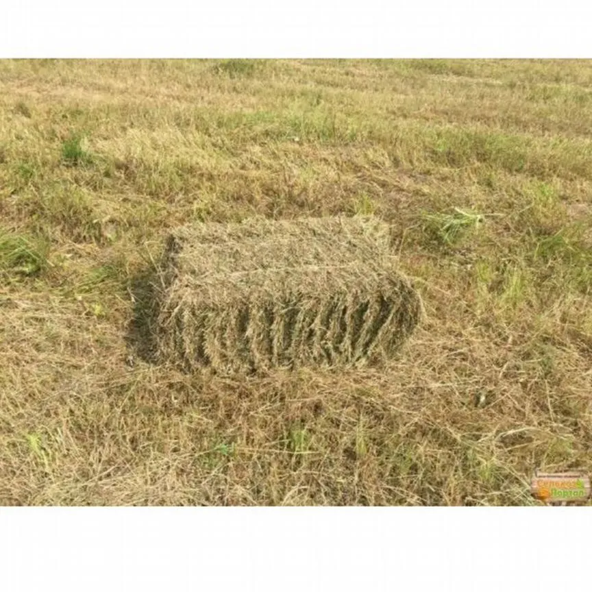Сено в тюках