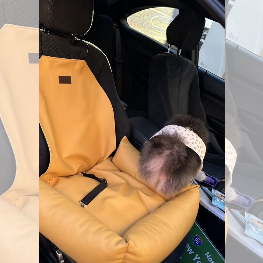 Автокресло для собаи