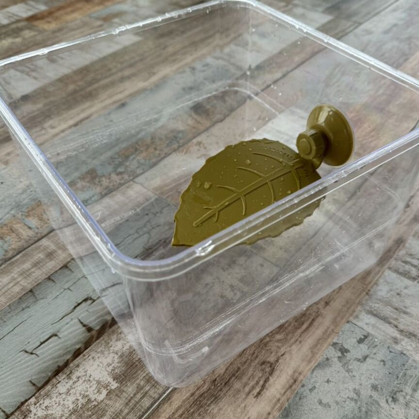 Аквариум для черепашки