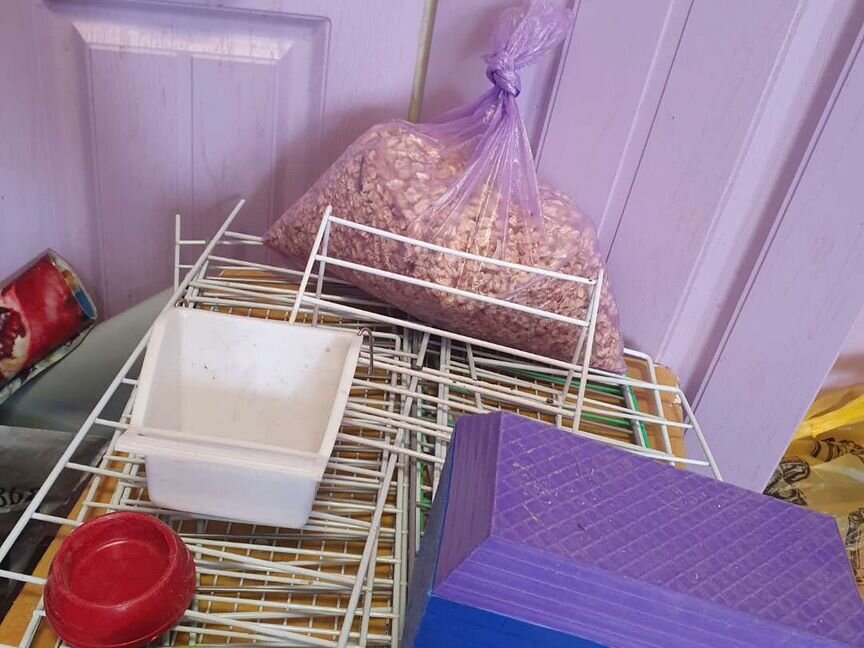 Всё для грызунов