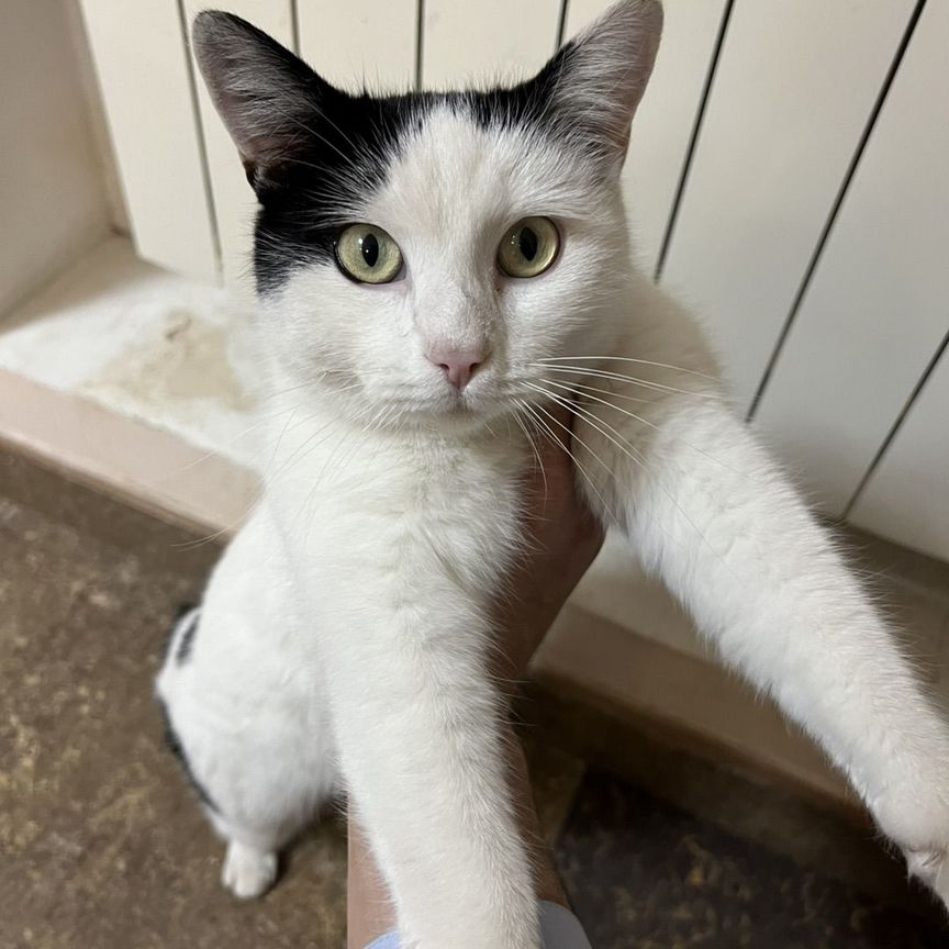 Отдам в добрые руки. девочка примерно 1 год