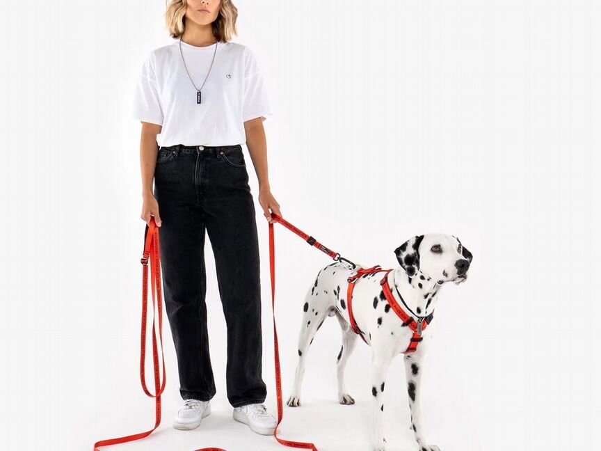 Поводок Staya