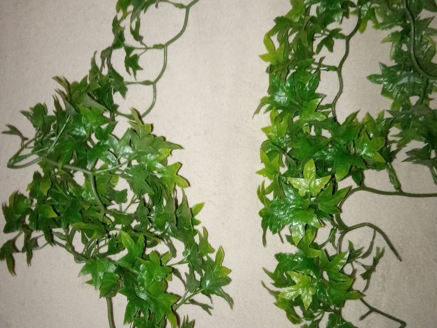 Растение пластиковое