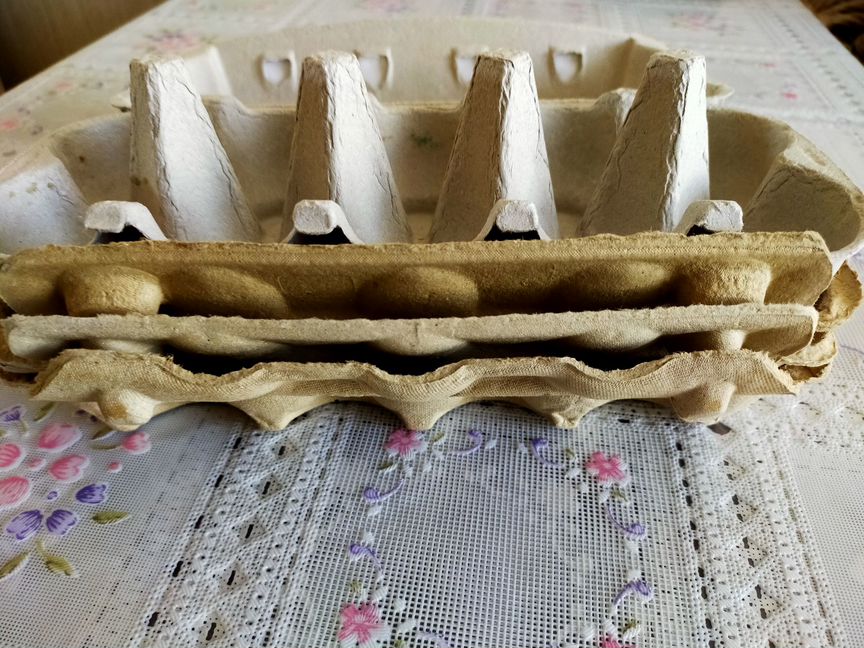 Упаковка для куриных яиц 10 ячеек