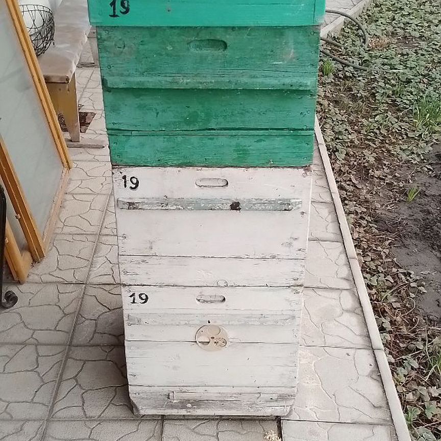 Продам ульи для пчел