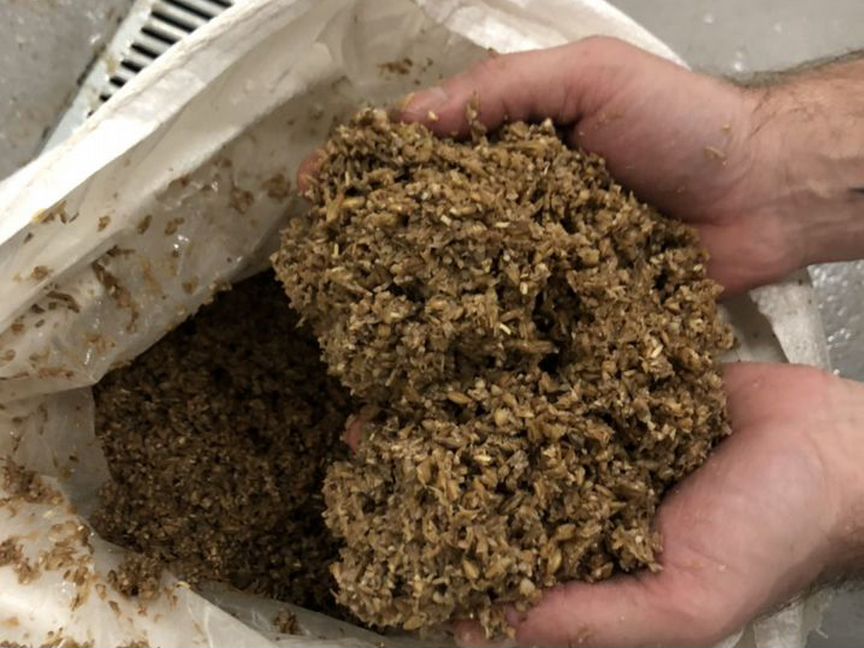 Пивная дробина на корм животным