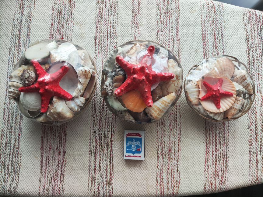 Морские ракушки