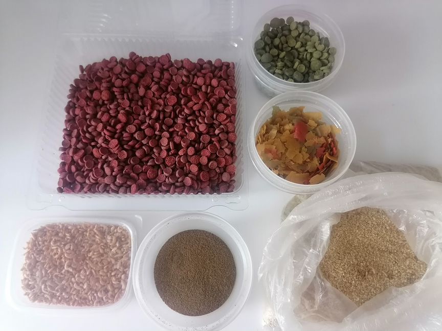 Корм для аквариумных рыбок