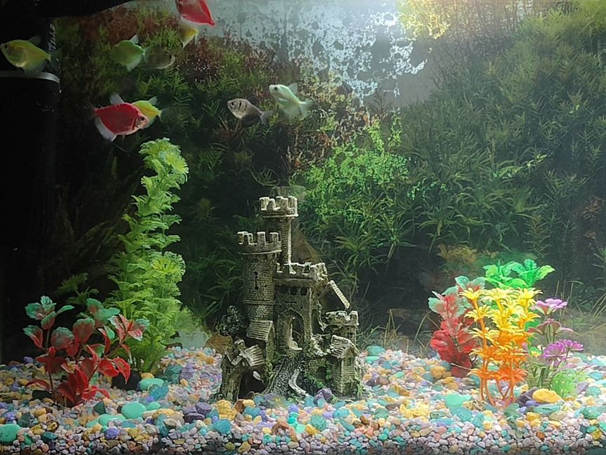 Украшения для аквариума