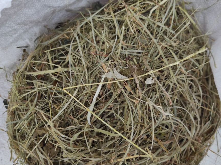 Сено луговое