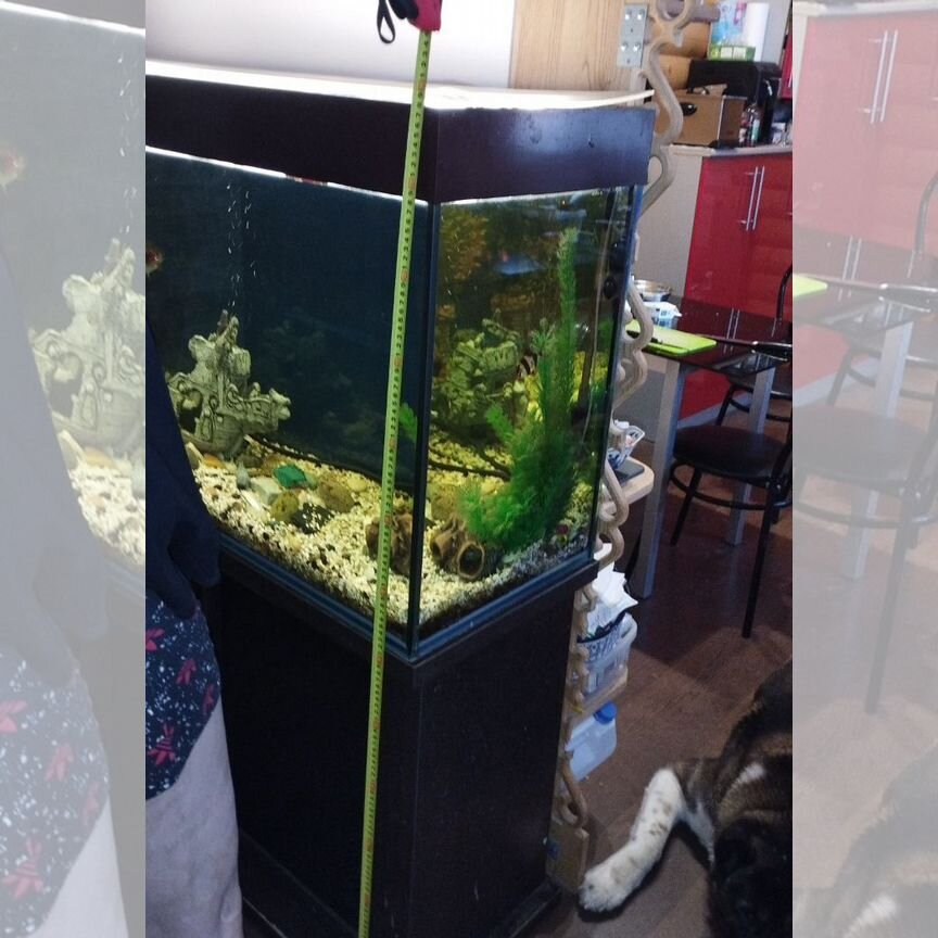 Аквариум 500 л