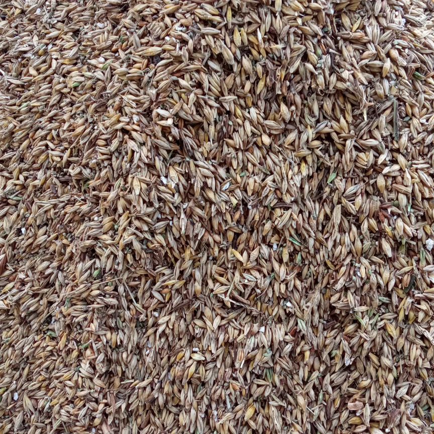 Отходы ячменя