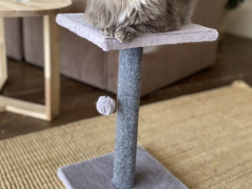 Новая в упаковке когтеточка для кошек с лежанкой