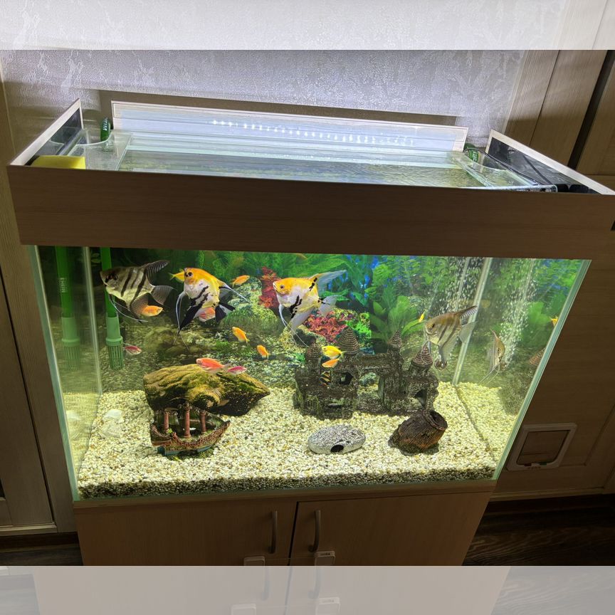 Аквариум под 200 л. с тумбой и оборудованием