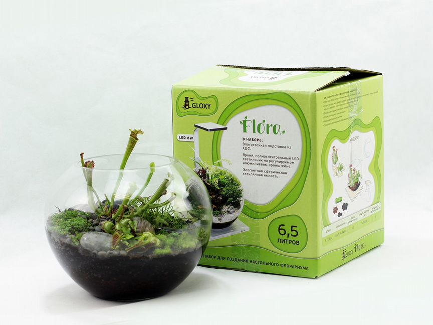 Gloxy Flora Флорариум 6,5л на подставке (в комплек