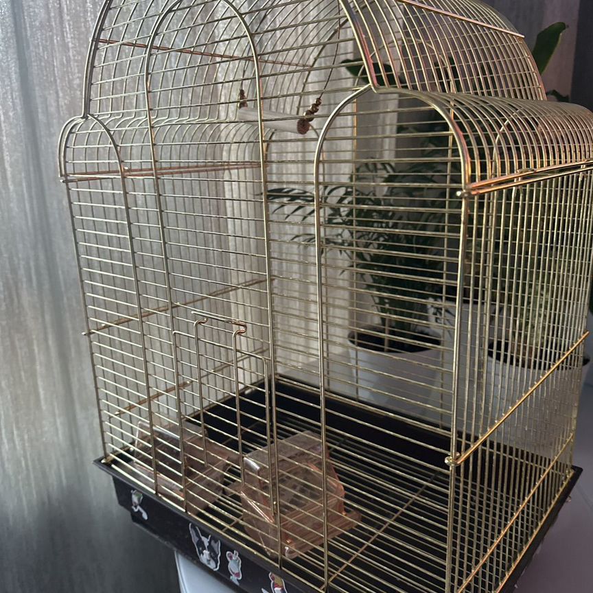 Большая клетка для птиц