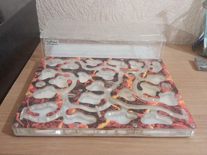 Муравьиная ферма бу