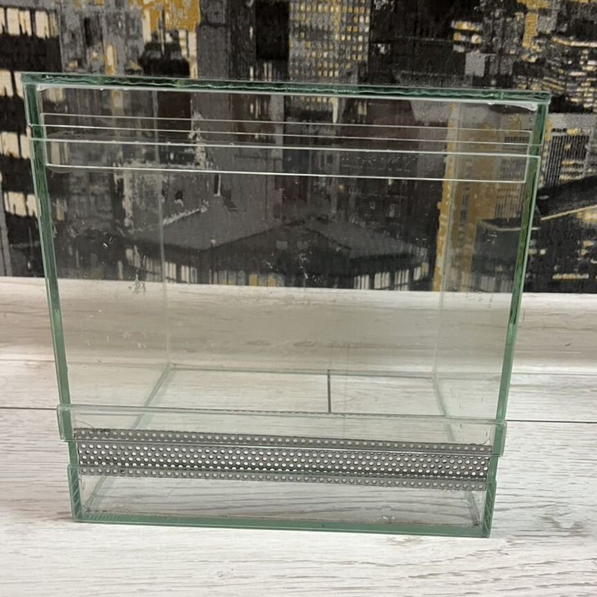 Террариум-паучатник