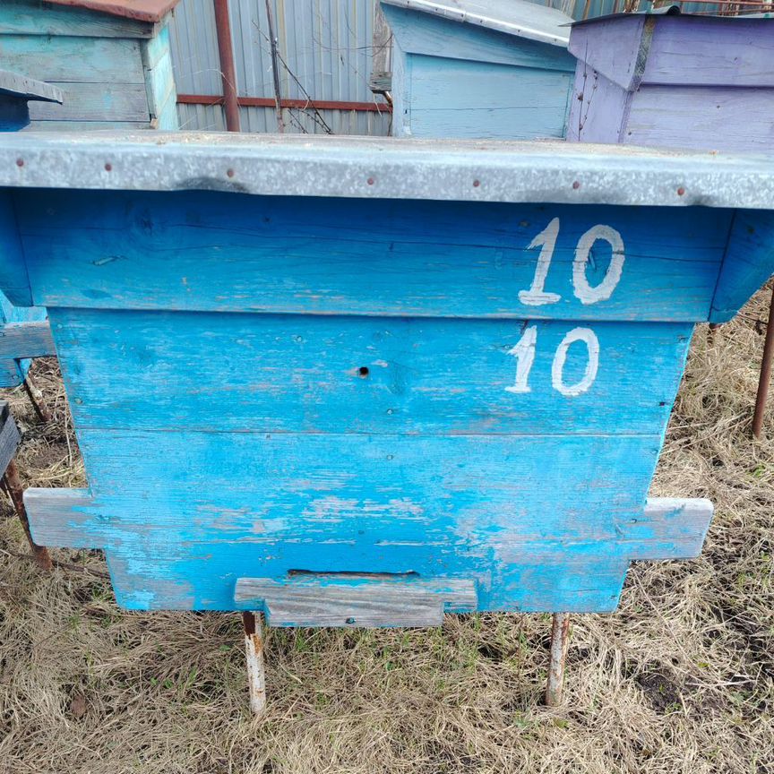 Ульи для пчел бу