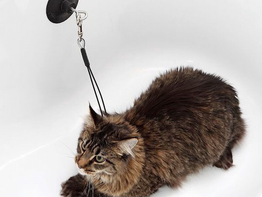 Комплект для купания: присоска с удавкой