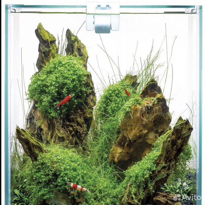 Аквариум aquael Shrimp Set smart 30 литров
