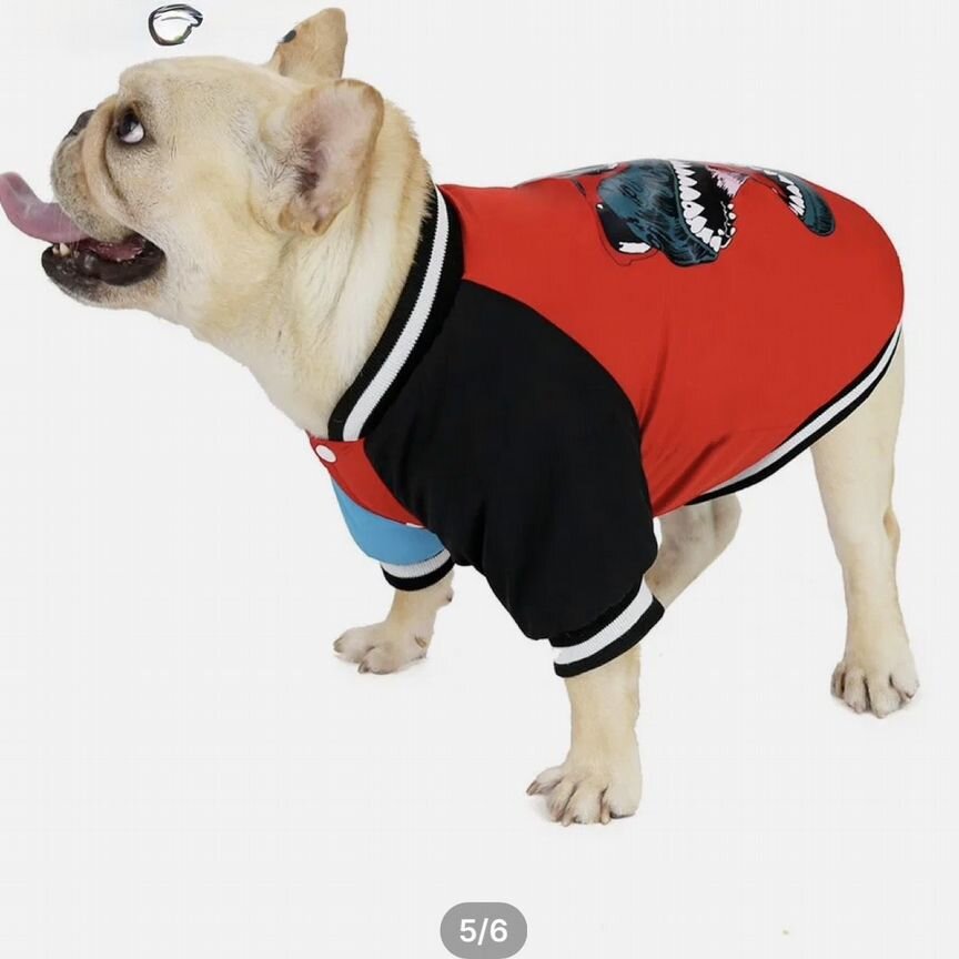 Зимняя куртка для собак