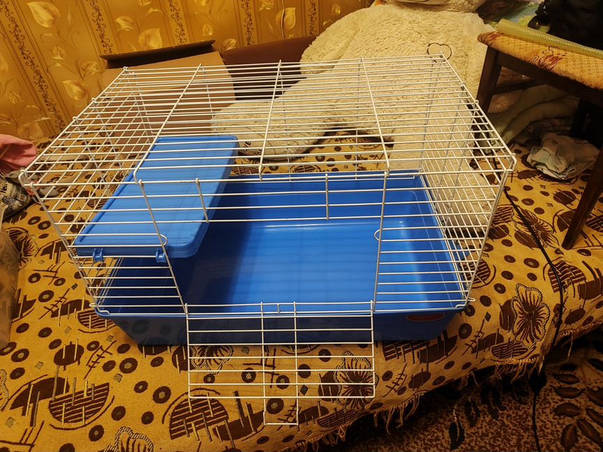 Клетка для грызунов, хорьков, морск.свинок, шиншил