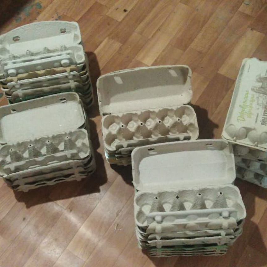 Яичные лотки