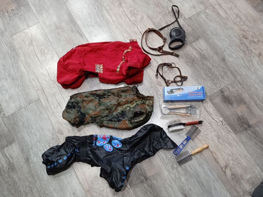 Вещи для маленькой собачки