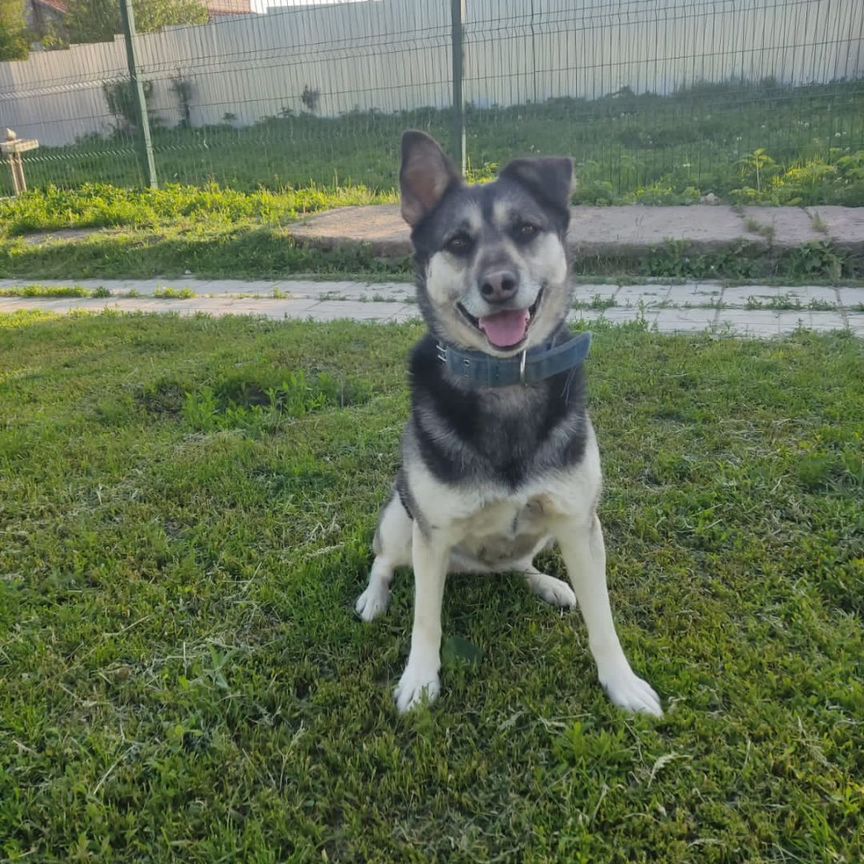 Нюкку, выжившая в Якутии