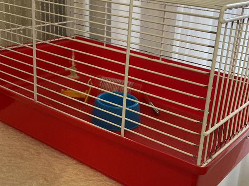 Клетка для грызунов ferplast