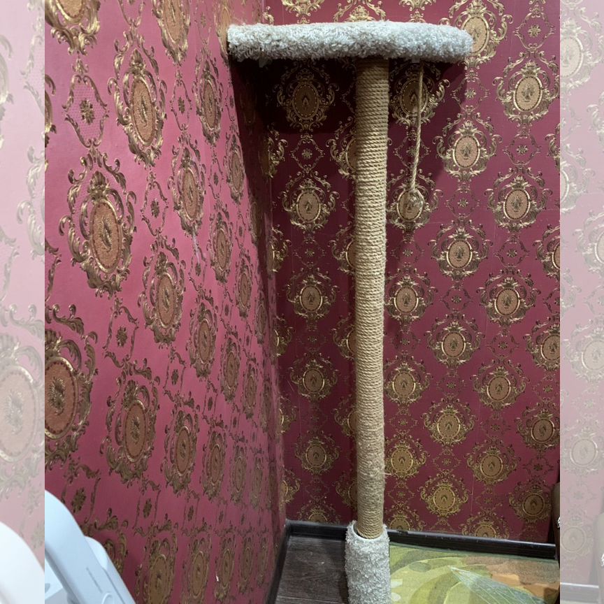 Когтеточка