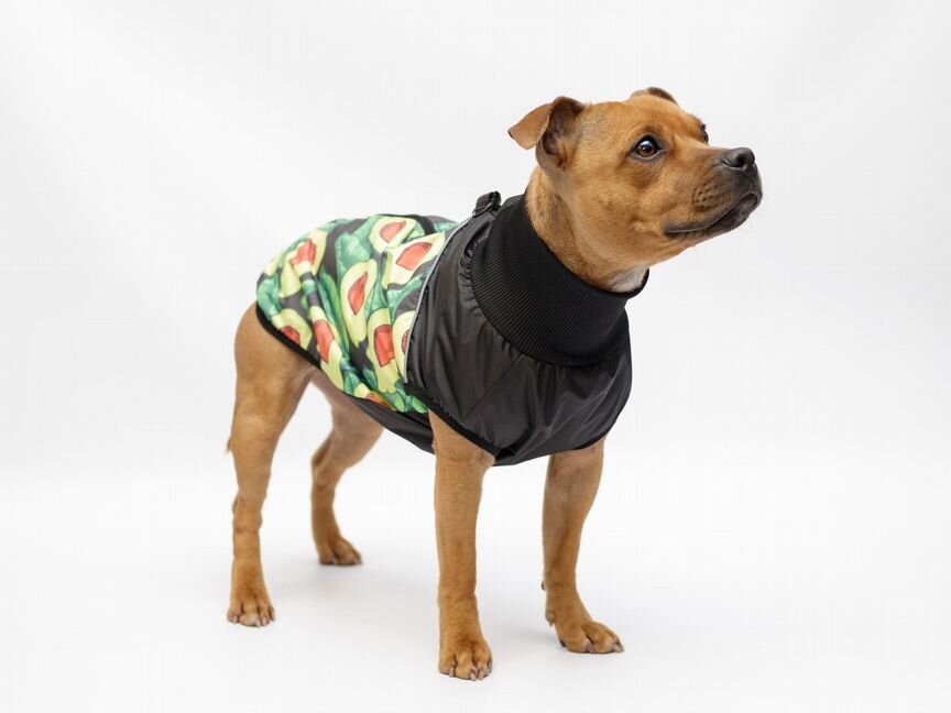 Жилетка для собак