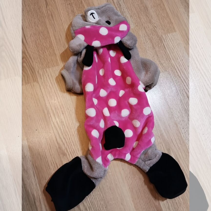 Одежда для собак