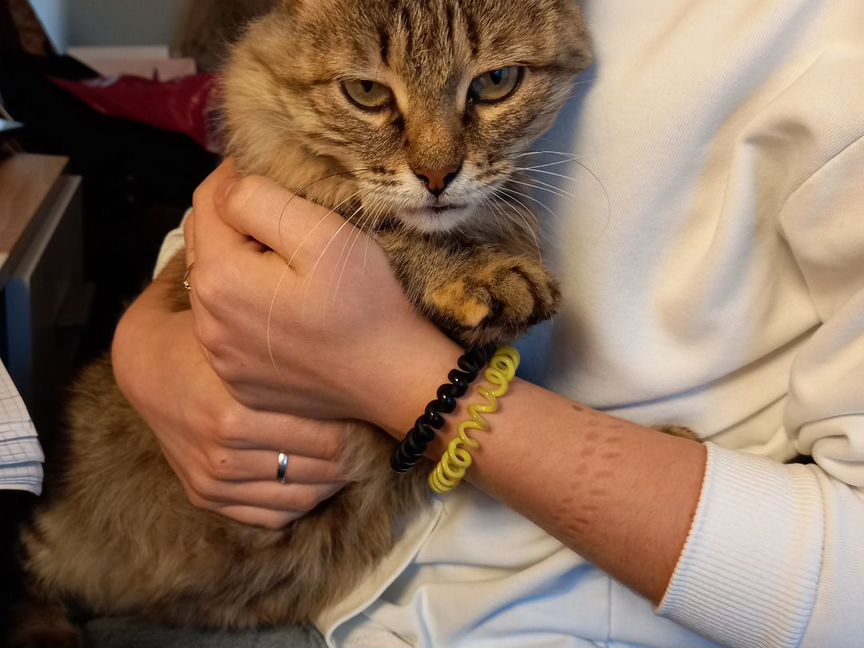 Отдам в хорошие руки