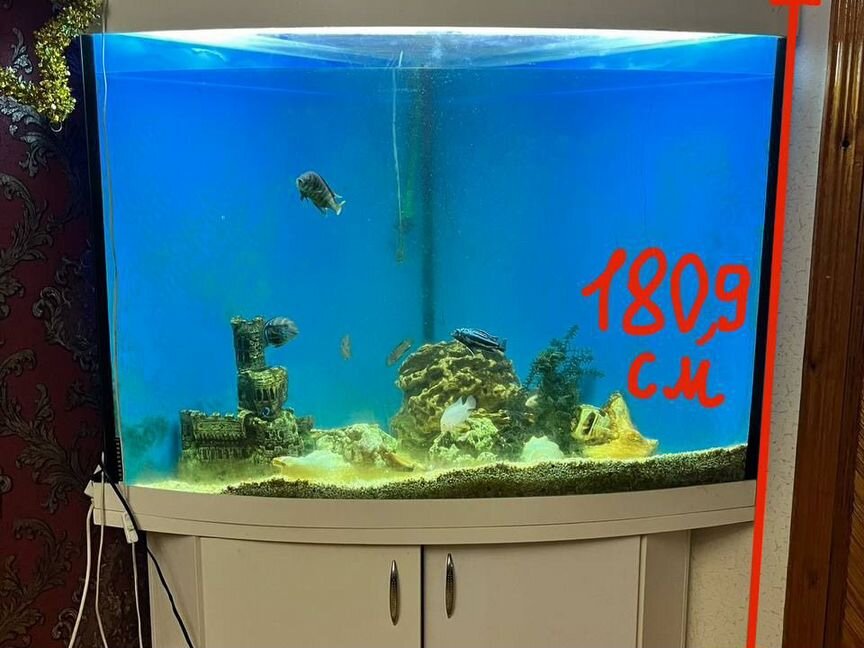 Аквариум с тумбой