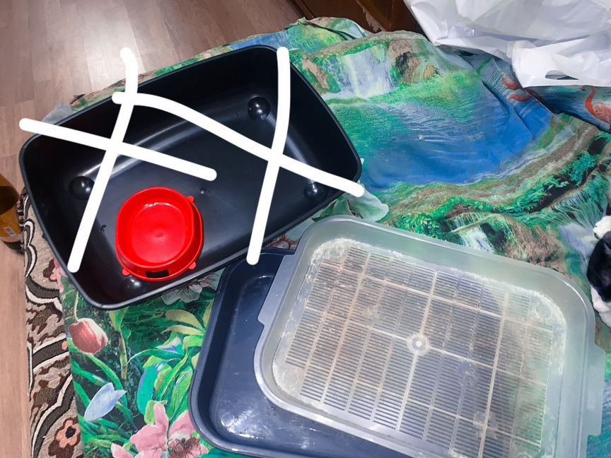 Для кошек/котов или для приюта