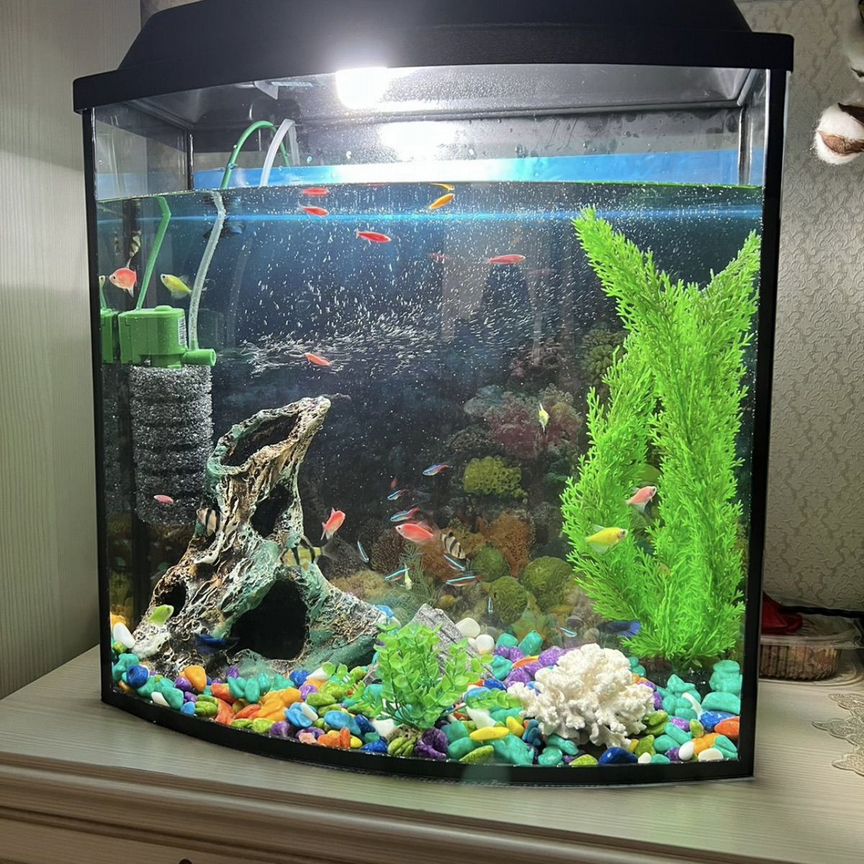 Аквариум с украшениями