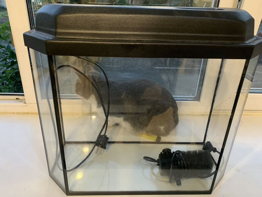 Аквариум на 30 литров