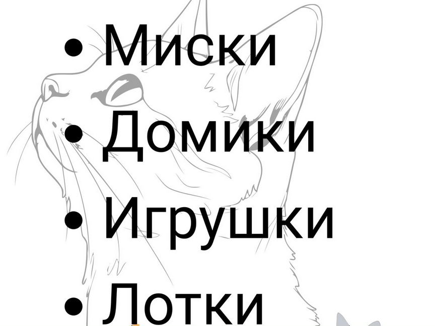 Зоотовары для кошек оптом