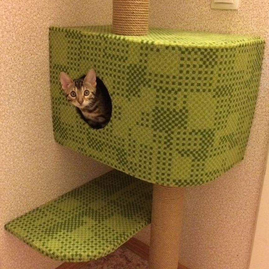 Когтеточка с домиком для кошек