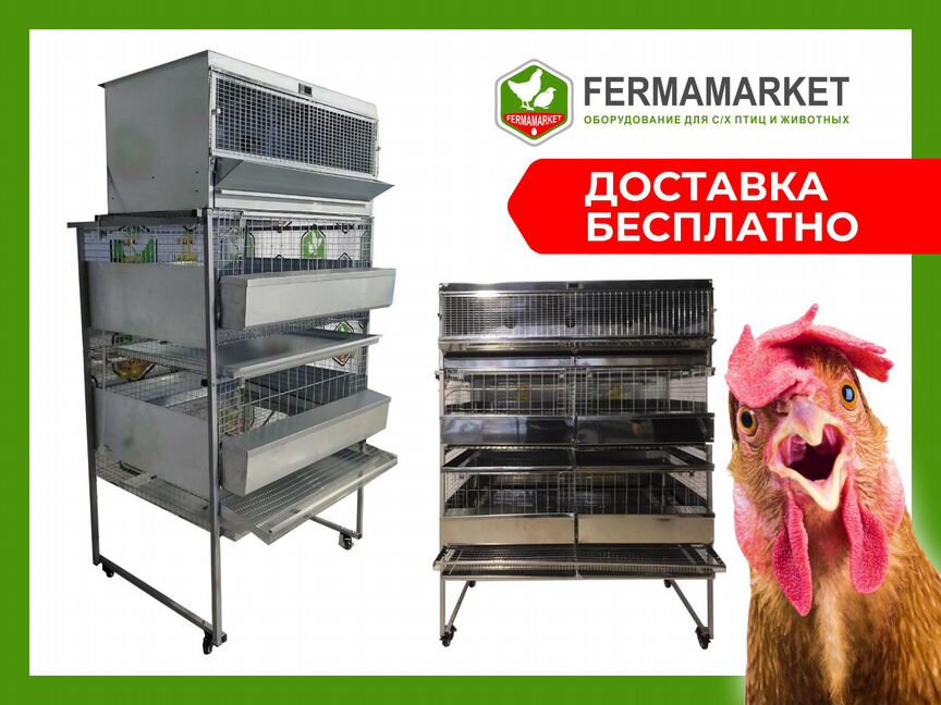 Клетки бройлеров, кур-несушек Жиздра