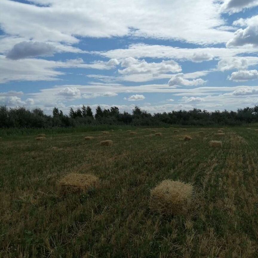 Солома в рулонах на 120 и Сено просяное в тюках