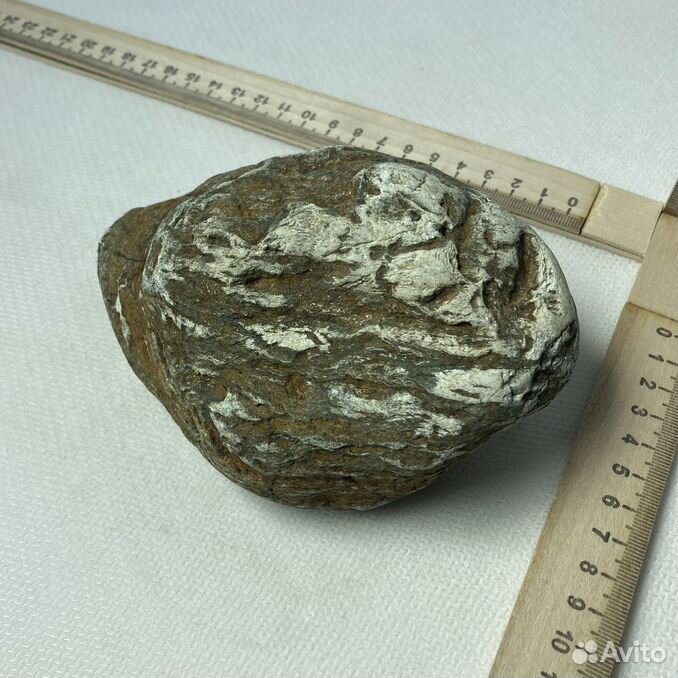 Декор для аквариума 150х110х60