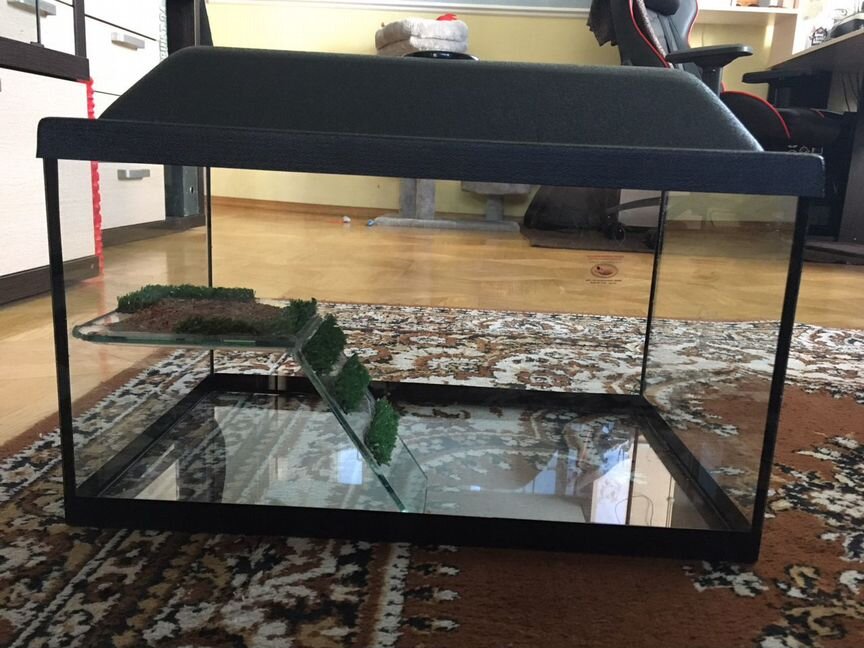 Черепашатник