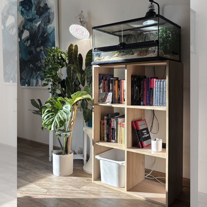 Террариум Exo Terra 60х45х30, фон, кронштейн