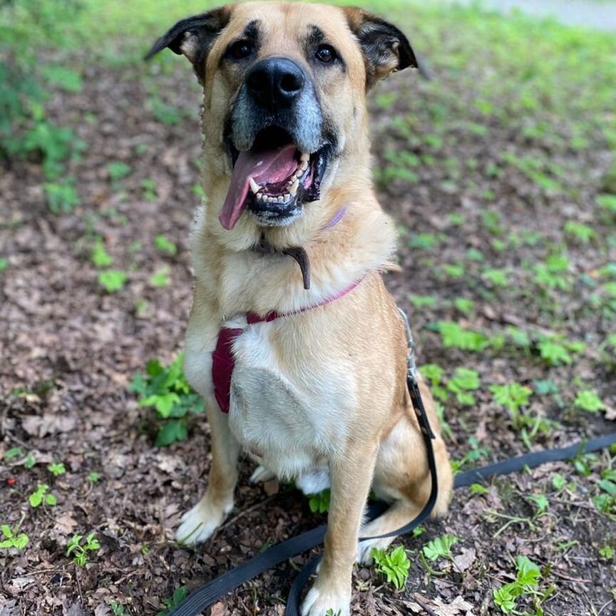 Потерял все, но не теряет надежду